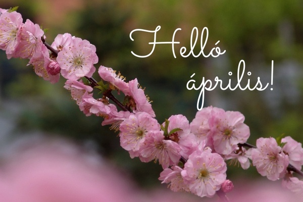 Április – Budapesti Szent Margit Kórház