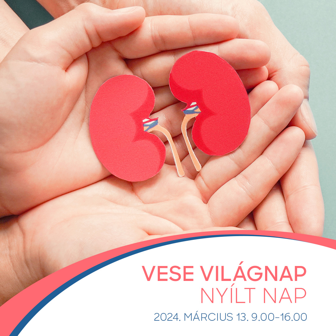 Nyílt nap lesz Kórházunkban a Vese Világnap alkalmából – Budapesti ...